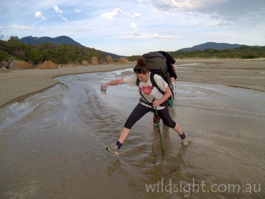 Classic Trek: Wilsons Promontory Circuit - Wild Sight