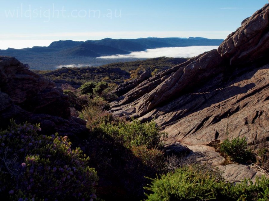 Day Walks: Grampians - Wild Sight