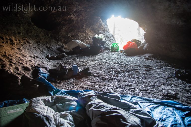 Camping cave - Wild Sight