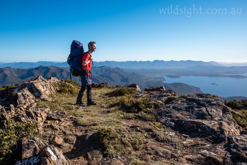 View from Mount Eliza - Wild Sight