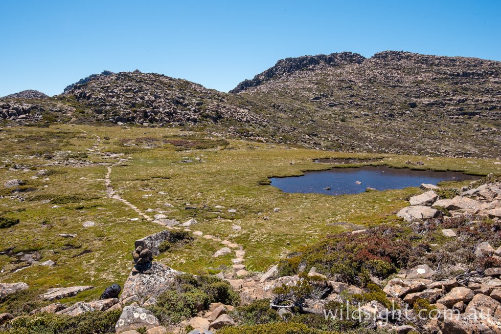 Classic trek: Mount Anne - Wild Sight