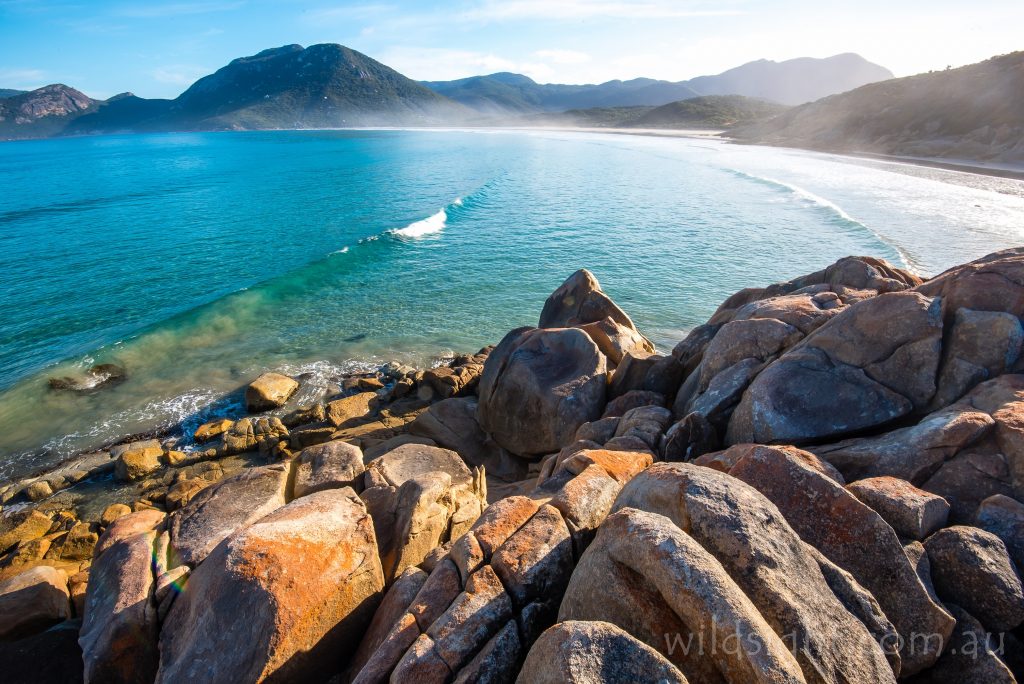 Oberon Bay - Wild Sight