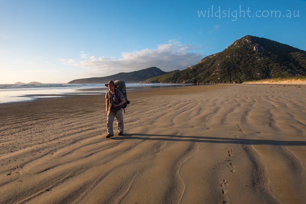 Classic Trek: Wilsons Promontory Circuit - Wild Sight