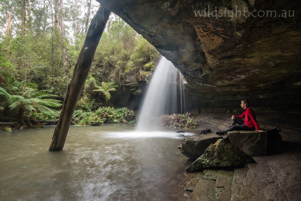 Lower Kalimna Falls - Wild Sight